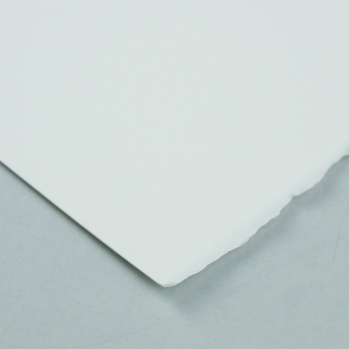 Botanical Ultra Smooth Watercolour Paper: 140lb 300 gsm – Perfect Paper ...