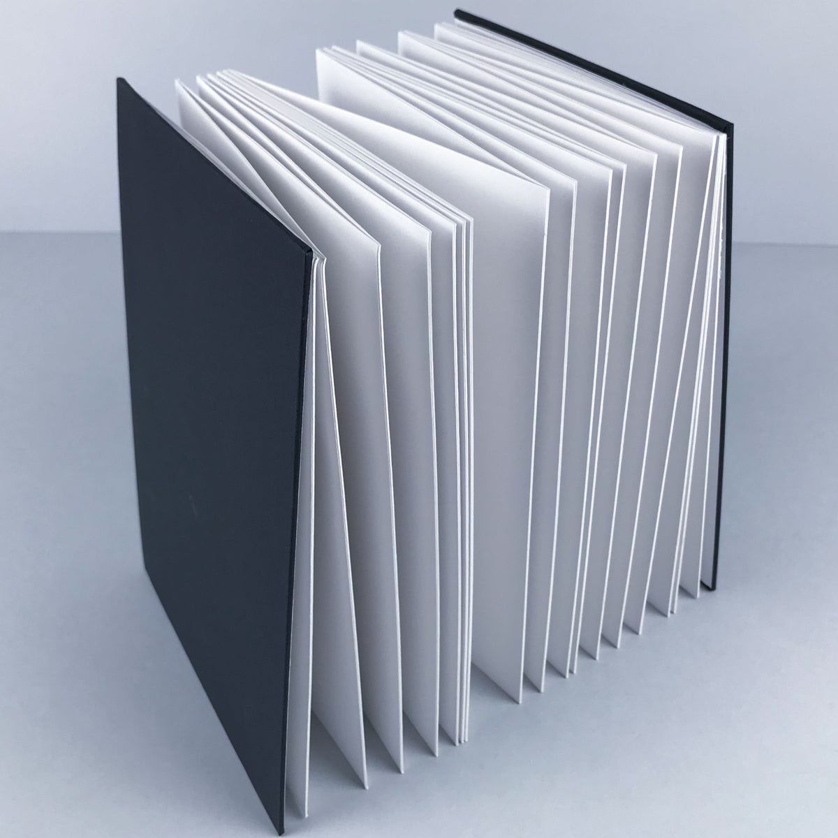 Seawhite Concertina Sketchbook: 70 Panels, 140 gsm, Hardback – Perfect ...